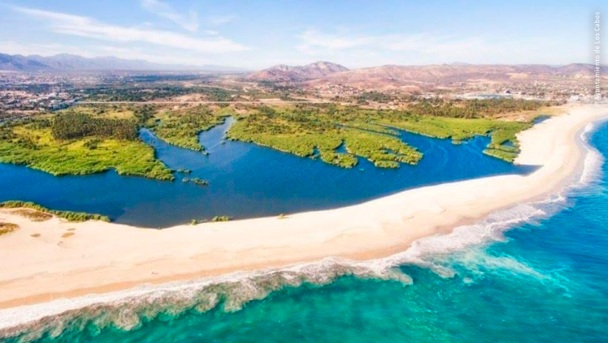 El estero de San José del Cabo, una joya natural que merece ser conservada
